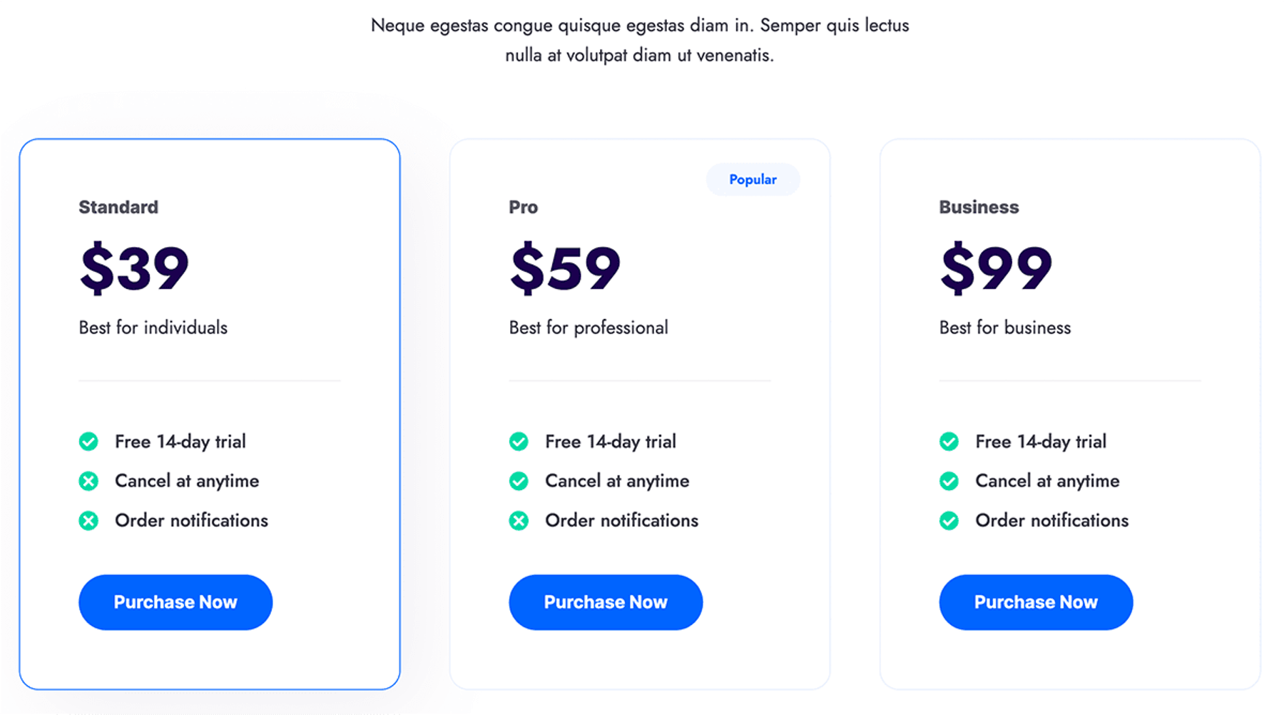 Digital Services - Kadence Theme