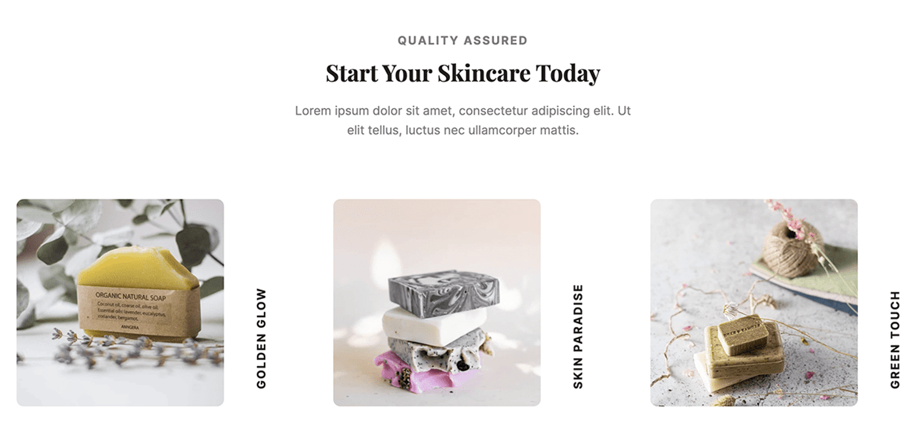 Soap Shop - Kadence Theme