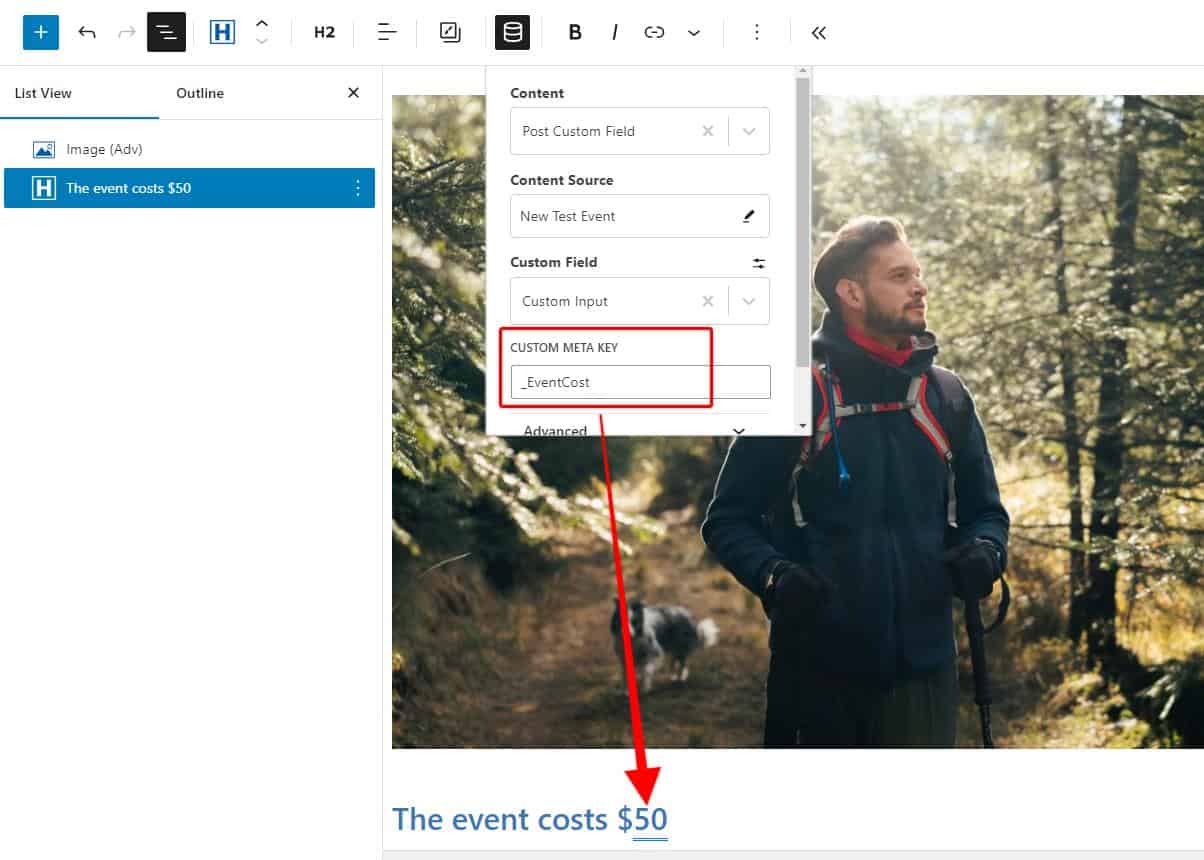 Dynamic Content: Custom Input and Showing Fields from all Post Types - Kadence WP Documentation