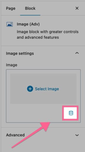 Dynamic Content - Kadence WP Documentation