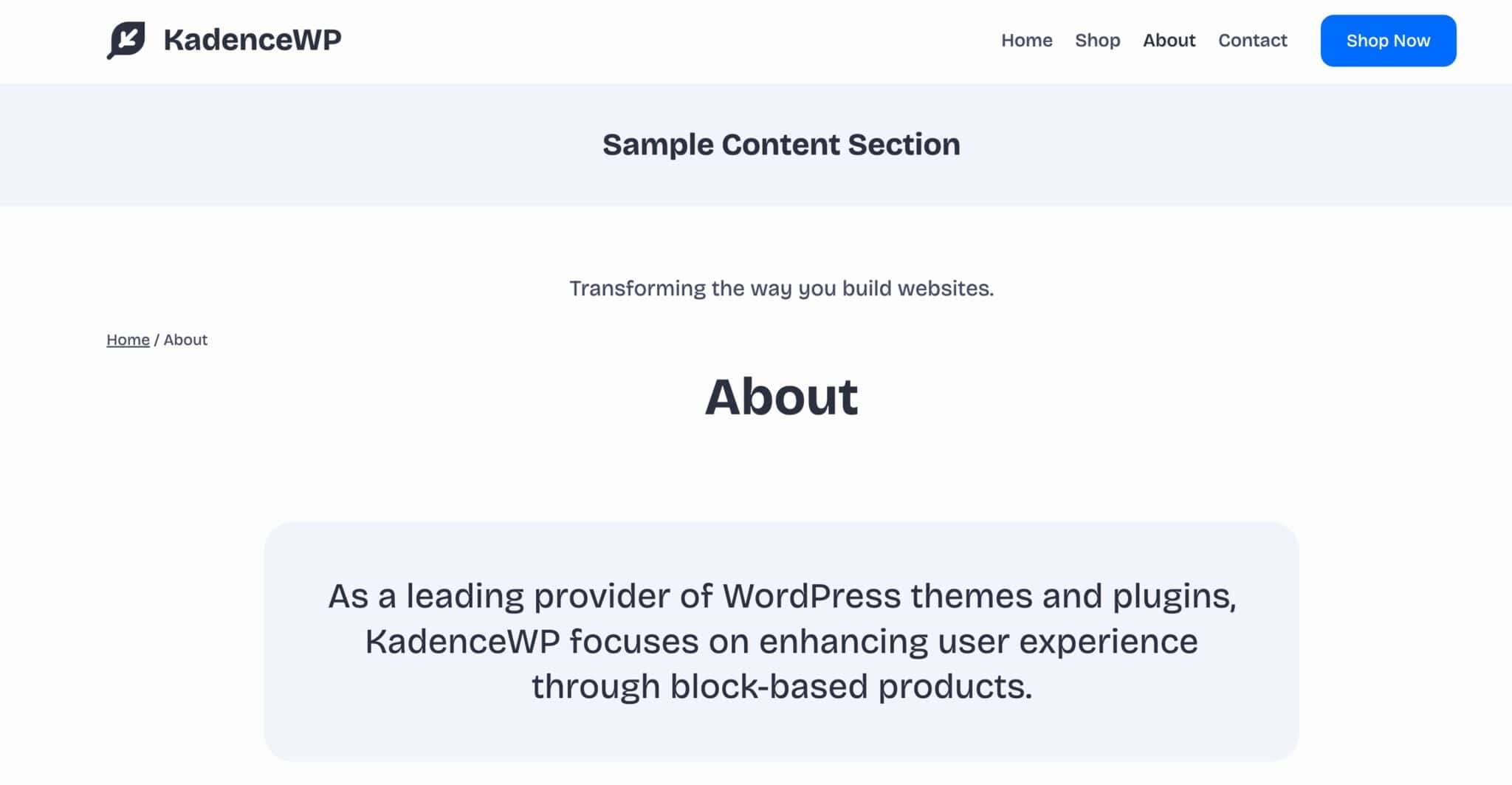 What are Kadence Hooked Elements? - Kadence WP Documentation