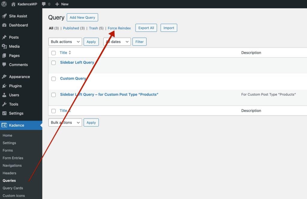 How to Force Reindex Advanced Queries - Kadence WP Documentation