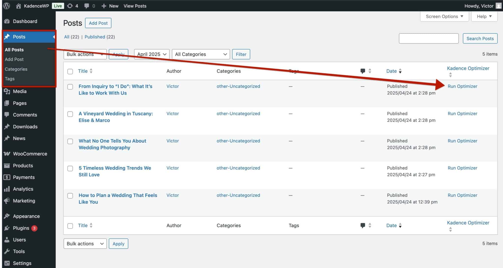 Getting Started with Kadence Performance - Kadence WP Documentation