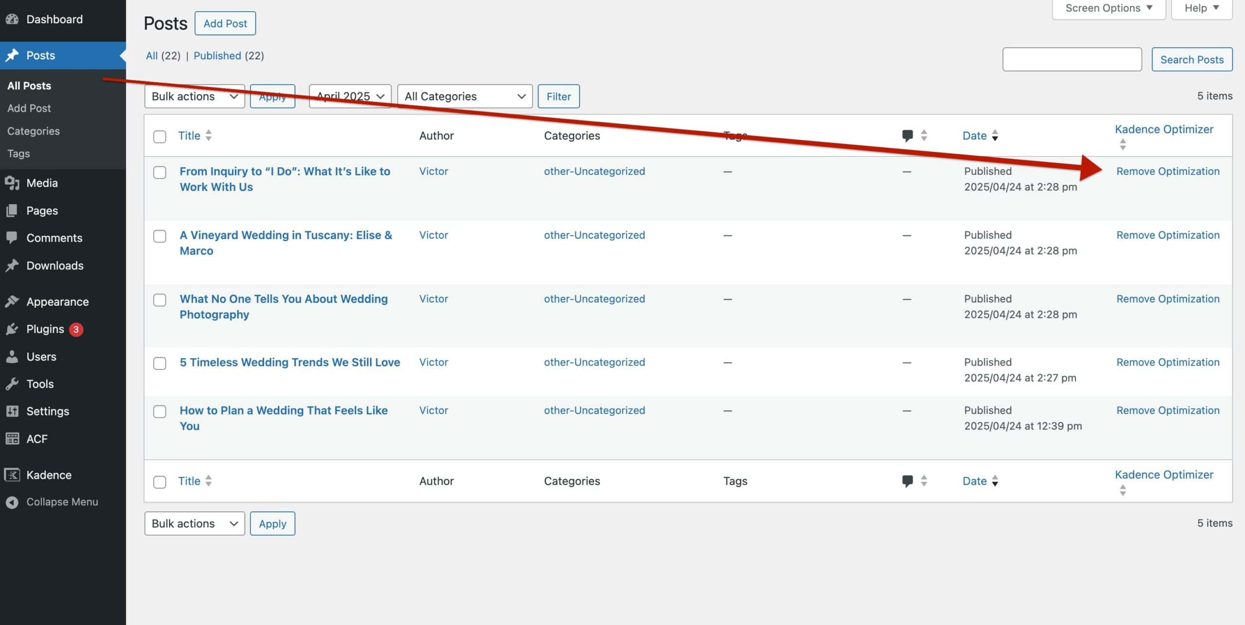 Getting Started with Kadence Performance - Kadence WP Documentation