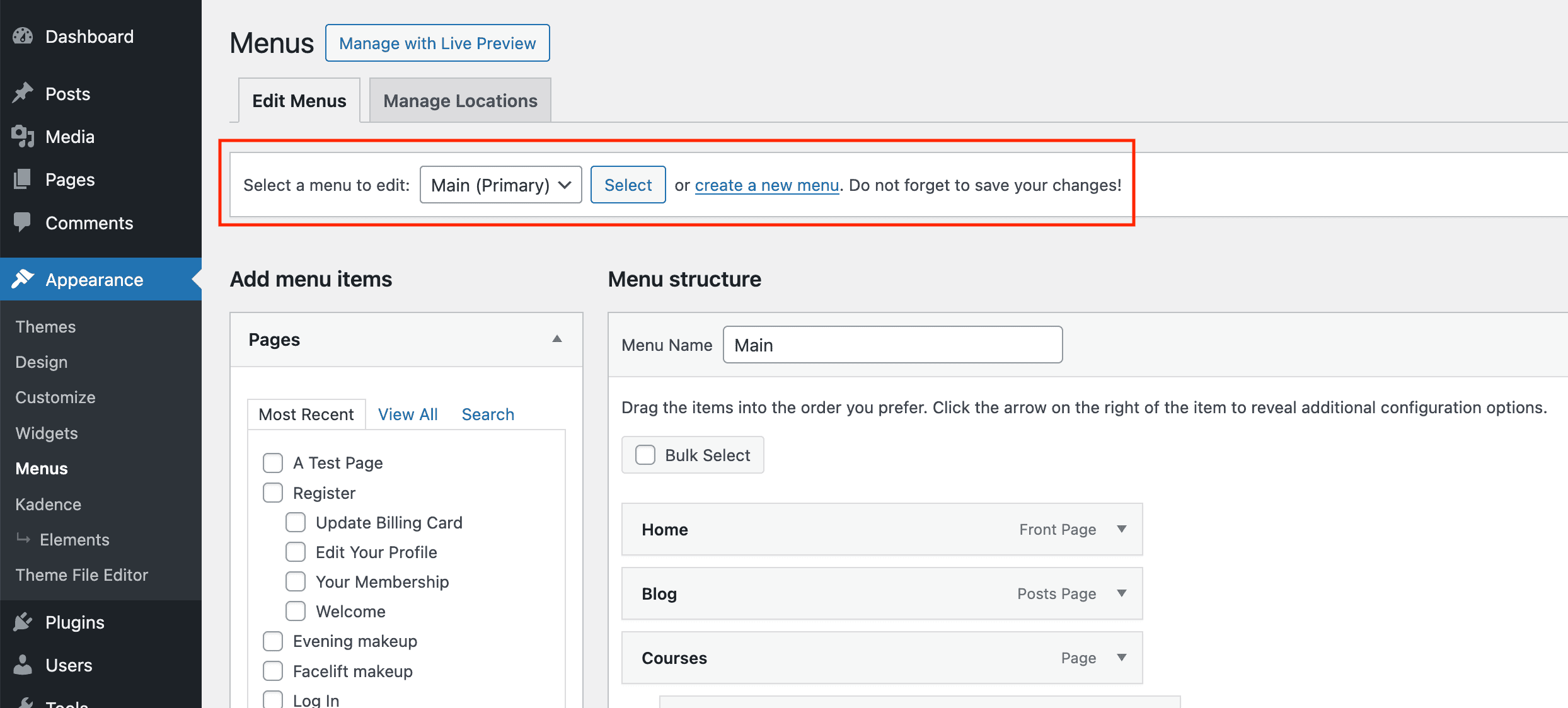 How to Add Icons to Your Classic WordPress Menu Items - Kadence WP Documentation