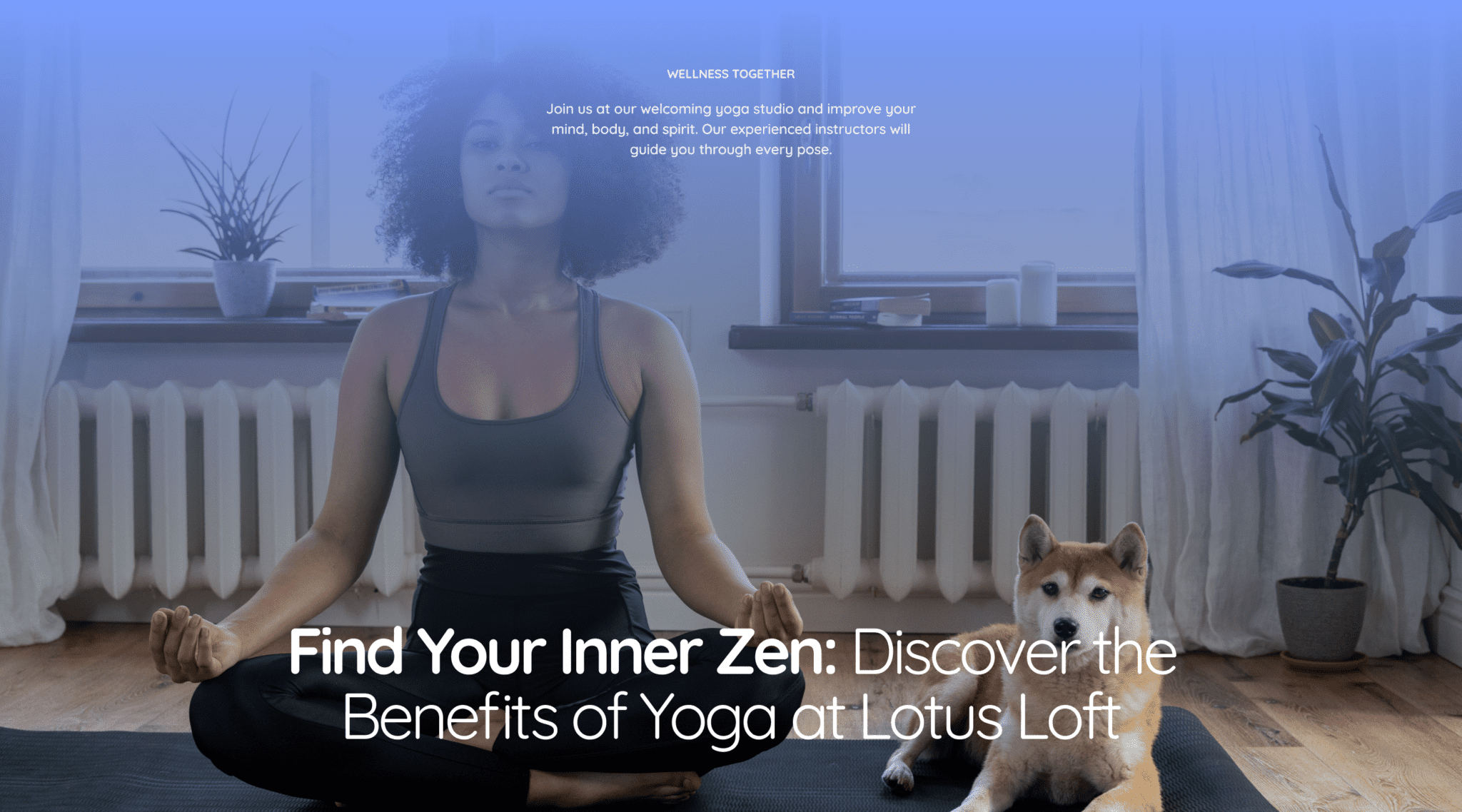 The Kadence Design Library - Kadence Blocks