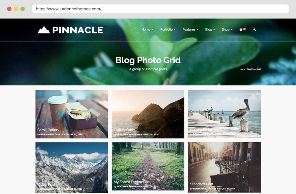 Pinnacle Premium WordPress Theme - by Kadence WP