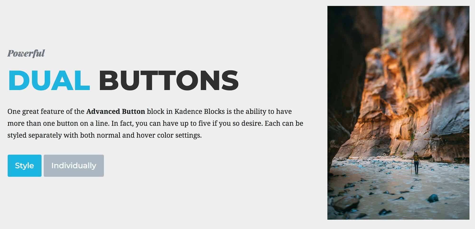 New Features for Kadence Blocks - Kadence WP